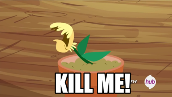 [Image - 710191] | Kill Me | Know Your Meme