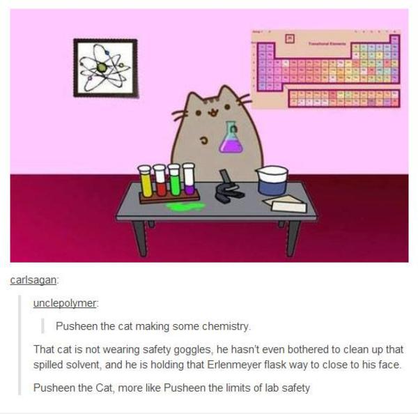 [Image - 712642] | Pusheen | Know Your Meme