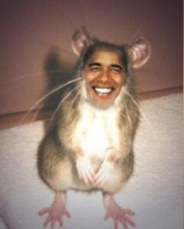 [Image - 715839] | Shut Up Your Mouse Obama | Know Your Meme