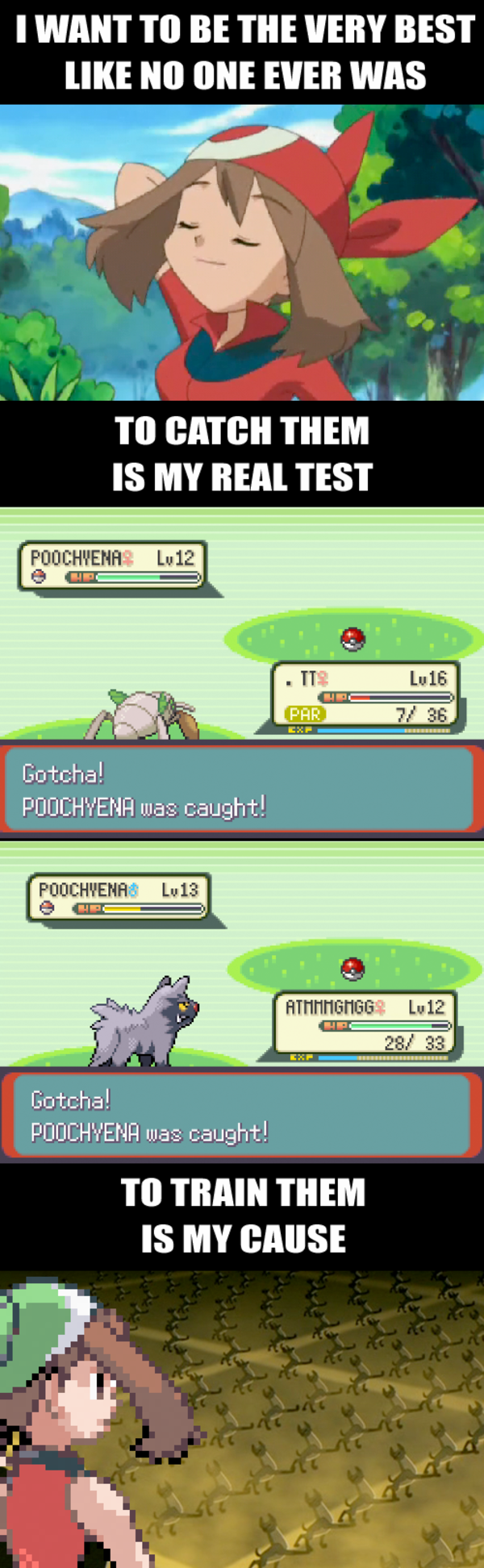 [Image - 724063] | Poochyena | Know Your Meme