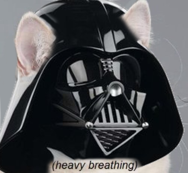 [Image - 724528] | [Intensifies] | Know Your Meme