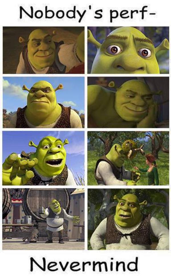 Shrek is love Shrek is life | Nobody's Perf- | Know Your Meme