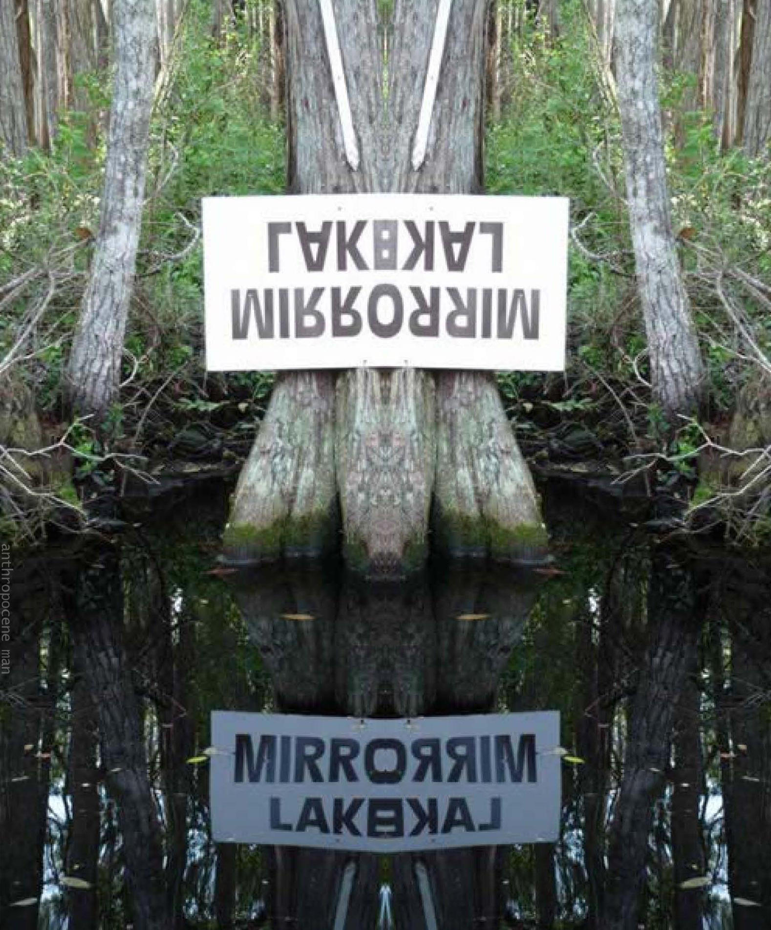 MIRROЯЯIM | UNITINU / UNITIИU | Know Your Meme