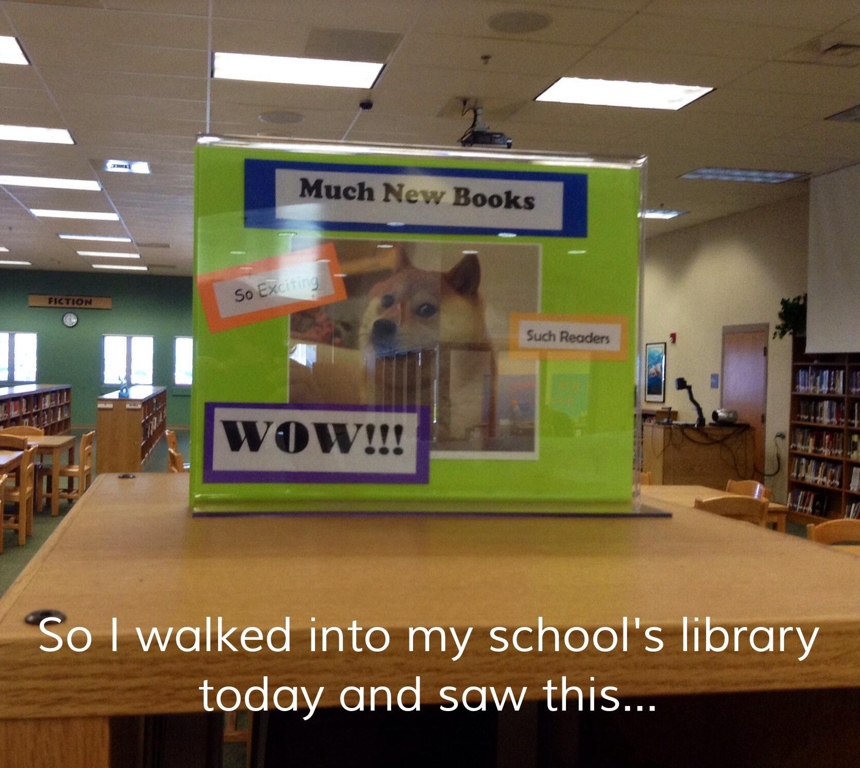 This is what Happens when public schools try to look hip. | Doge | Know ...