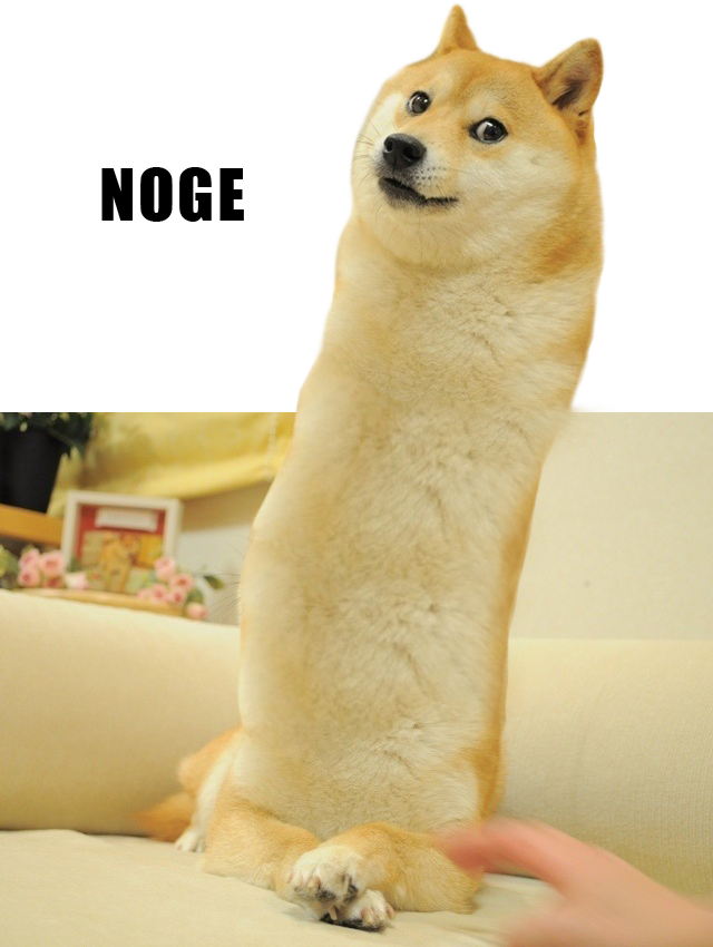[Image - 734194] | Doge | Know Your Meme