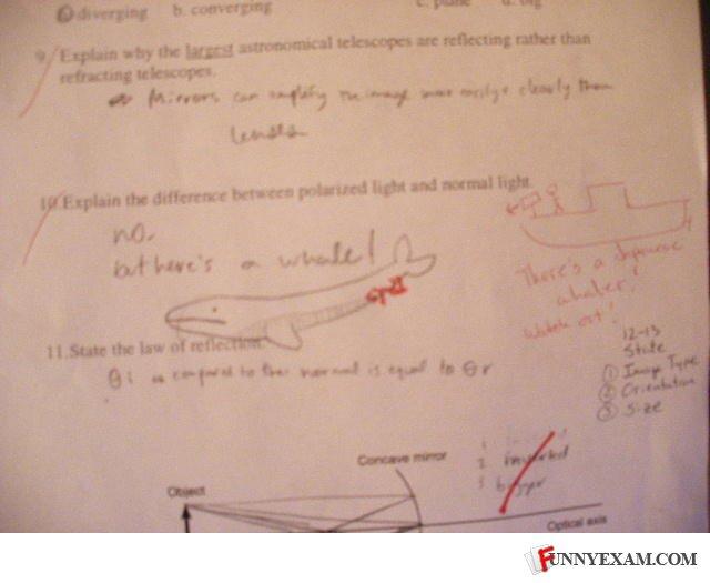 [Image - 736774] | Funny Exam Answers | Know Your Meme