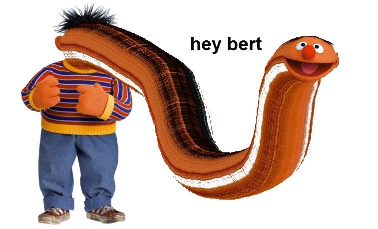 bert | Are You Frustrated? | Know Your Meme