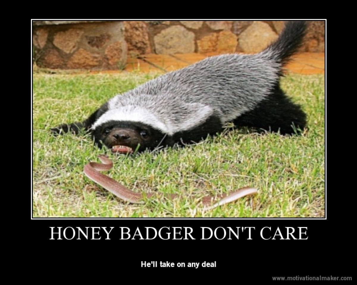 [Image - 739640] | Honey Badger | Know Your Meme