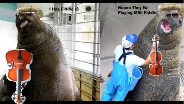 [Image - 742085] | They Played Us Like A Damn Fiddle! | Know Your Meme