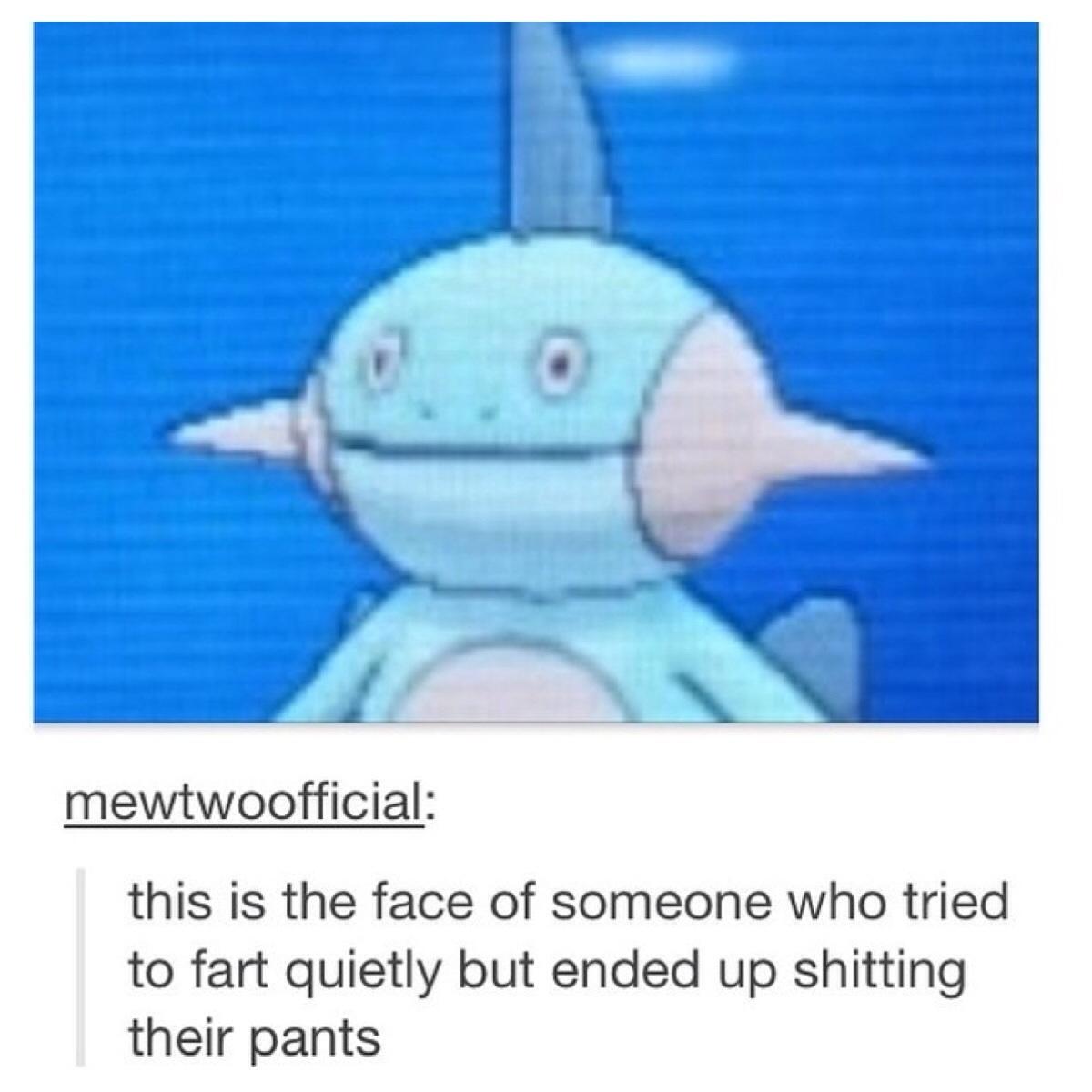 [Image - 743599] | Creepy Marshtomp | Know Your Meme