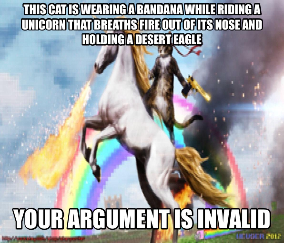 Cat riding unicorn | Your Argument Is Invalid | Know Your Meme