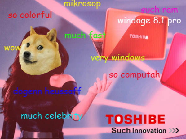 Toshibe laptop | Doge | Know Your Meme