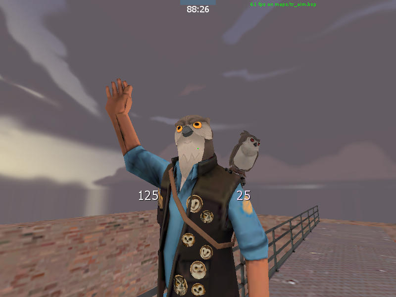 Owls | Team Fortress 2 | Know Your Meme
