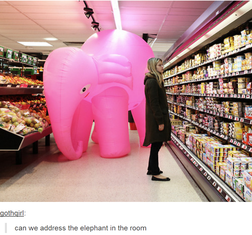 Can we address the elephant in the room? | Tumblr | Know Your Meme