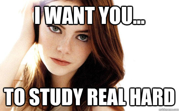 [Image - 755286] | You Should Be Studying | Know Your Meme