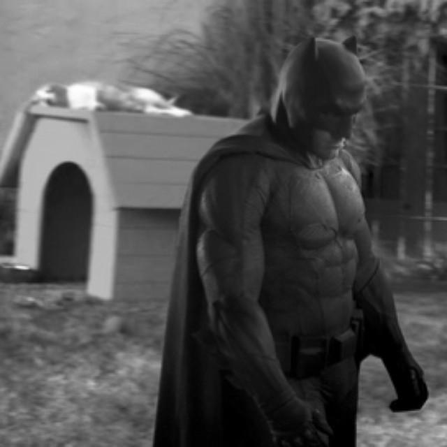 [Image - 755863] | Sad Batman | Know Your Meme