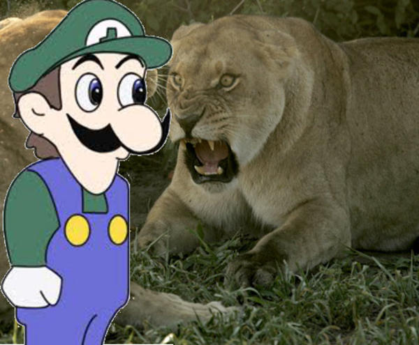 Weegee | Weegee | Know Your Meme