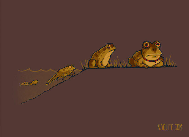 Evolution of Hypnotoad | Futurama | Know Your Meme