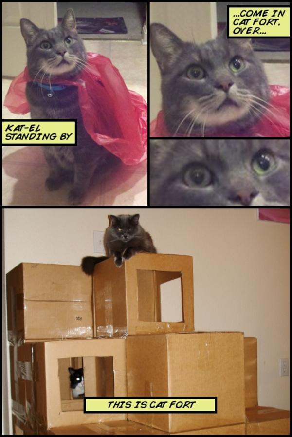 [Image - 760426] | Cat Fort | Know Your Meme