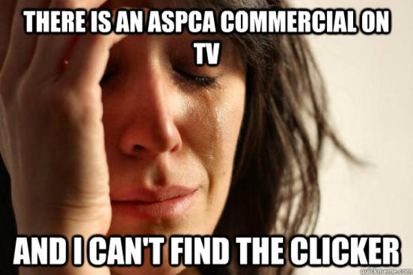 [Image - 765197] | ASPCA Commercial Parodies | Know Your Meme