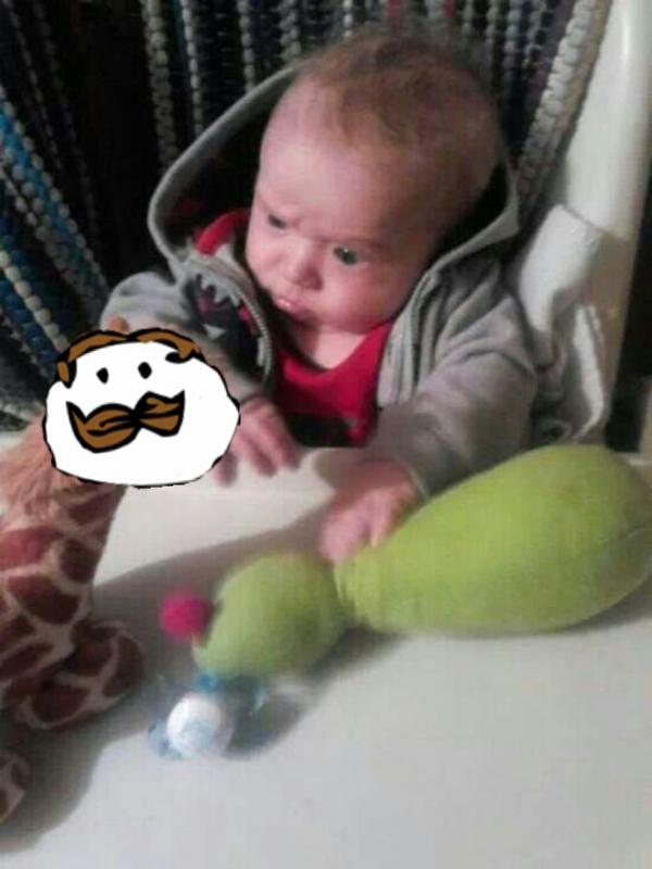 [Image - 768131] | Gordon the Pringles Giraffe | Know Your Meme