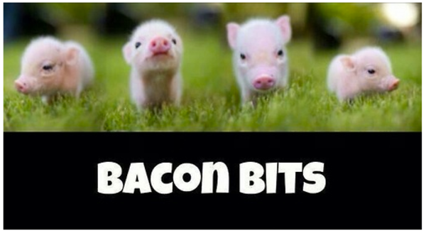Live Bacon Bits | Bacon | Know Your Meme