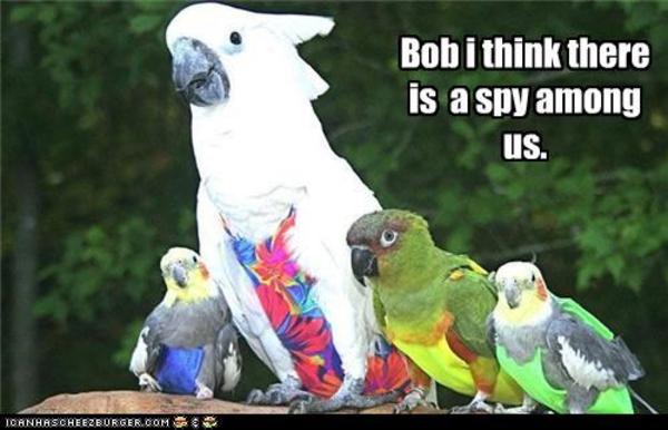 [Image - 776945] | X is a Spy | Know Your Meme