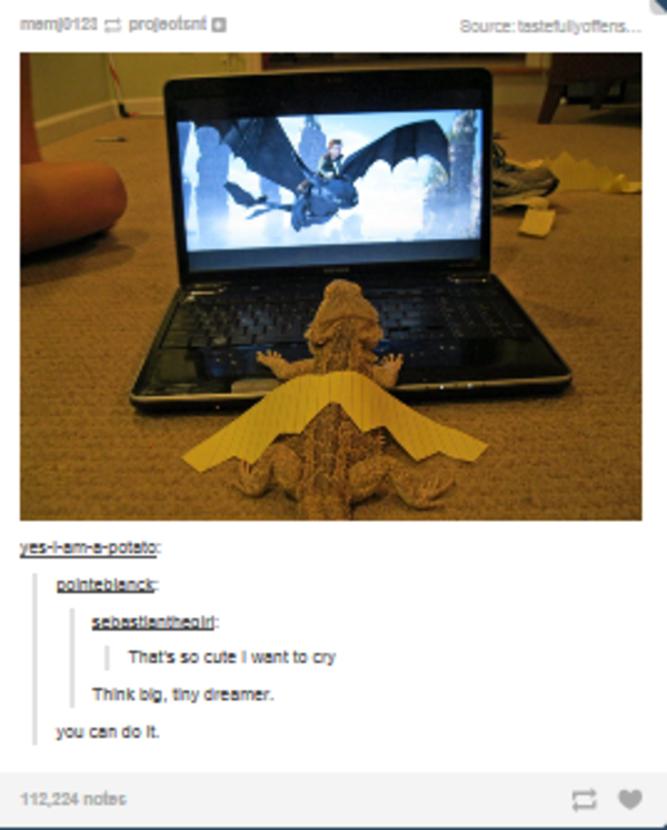 [Image - 777909] | How to Train Your Dragon | Know Your Meme