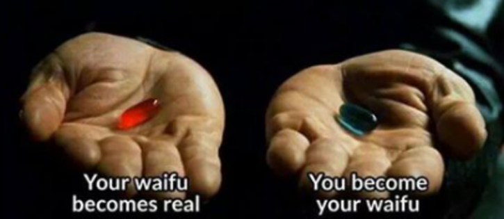 Make that choice | Waifu | Know Your Meme