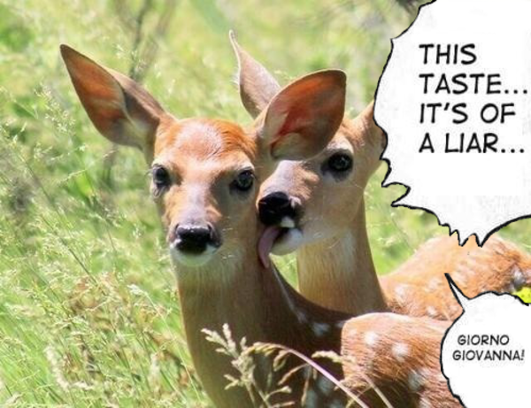 [Image - 781982] | This Is the Taste of a Liar | Know Your Meme