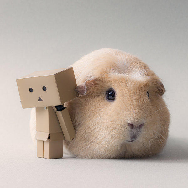 Friendship | Danbo | Know Your Meme