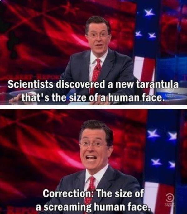 A Screaming Human Face | Spiders | Know Your Meme