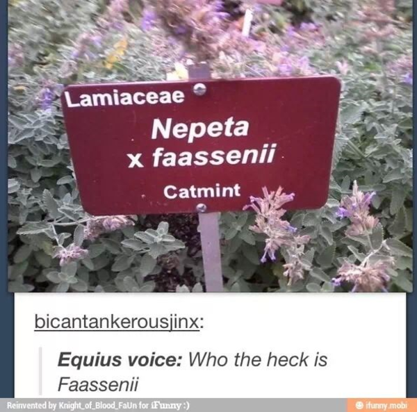 [Image - 787248] | Homestuck | Know Your Meme