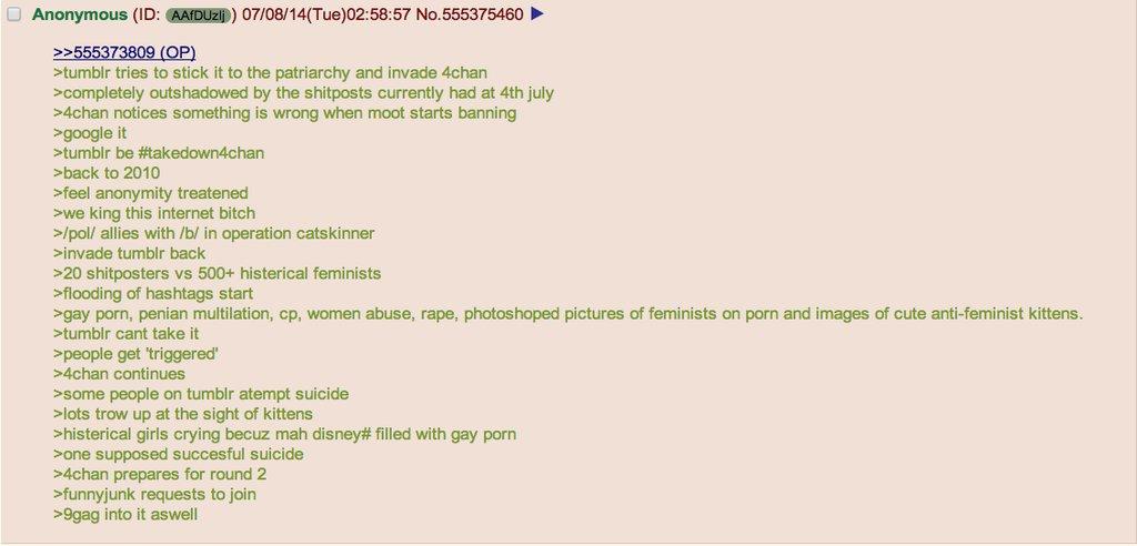 A summary. Or at least so they say, | 2014 Tumblr-4chan Raids | Know ...