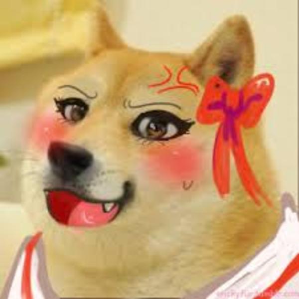 Barka Memes
