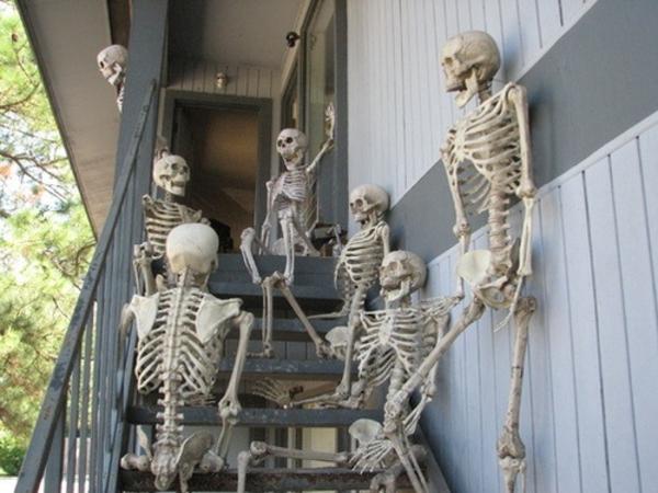 skeletons hanging out on stairs | Skeletons | Know Your Meme
