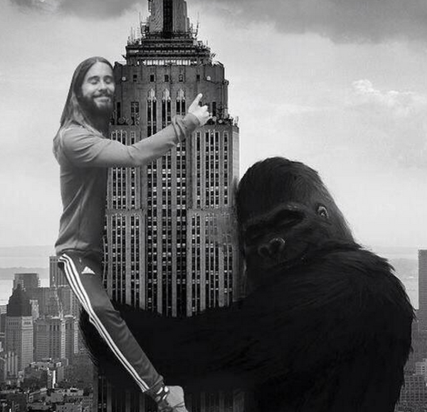 [Image - 793357] | Jared Leto Hugging Things | Know Your Meme