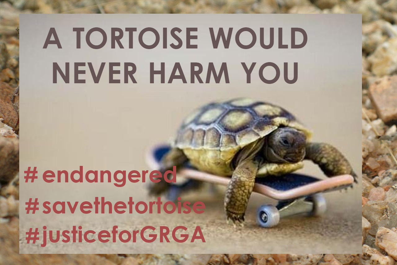 [Image - 796000] | Operation Shell Shock | Know Your Meme