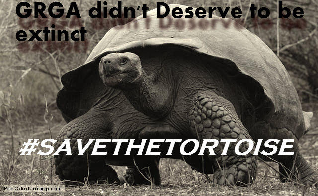 [Image - 796005] | Operation Shell Shock | Know Your Meme