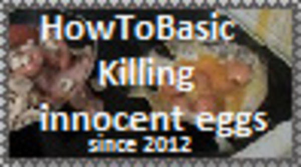 [Image - 796901] | HowToBasic | Know Your Meme