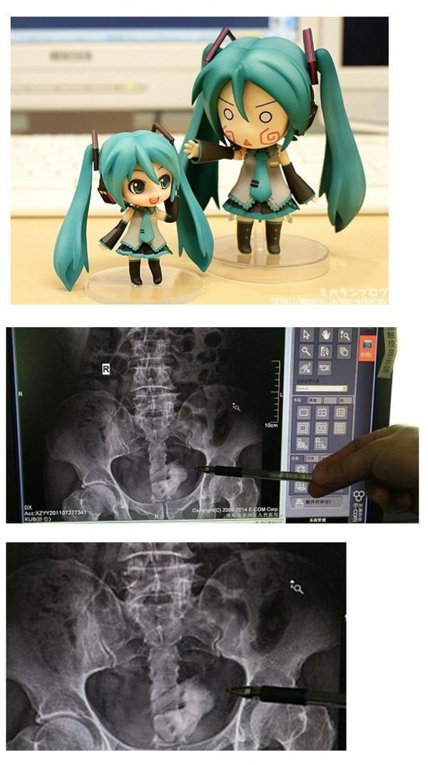 [Image - 797443] | Hatsune Miku / Vocaloid | Know Your Meme