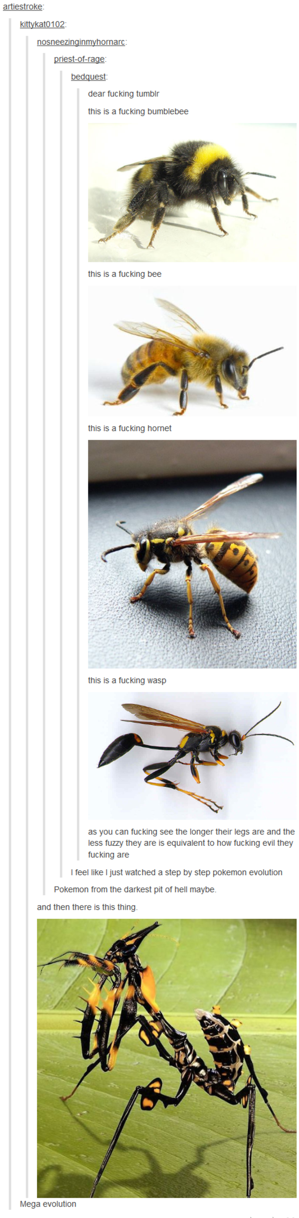 Bee Evolution Chart | Pokémon | Know Your Meme