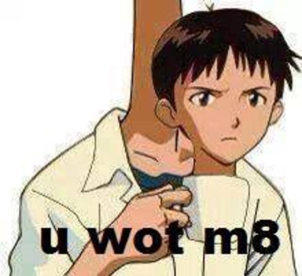 U Wot M8? | U WOT M8 | Know Your Meme