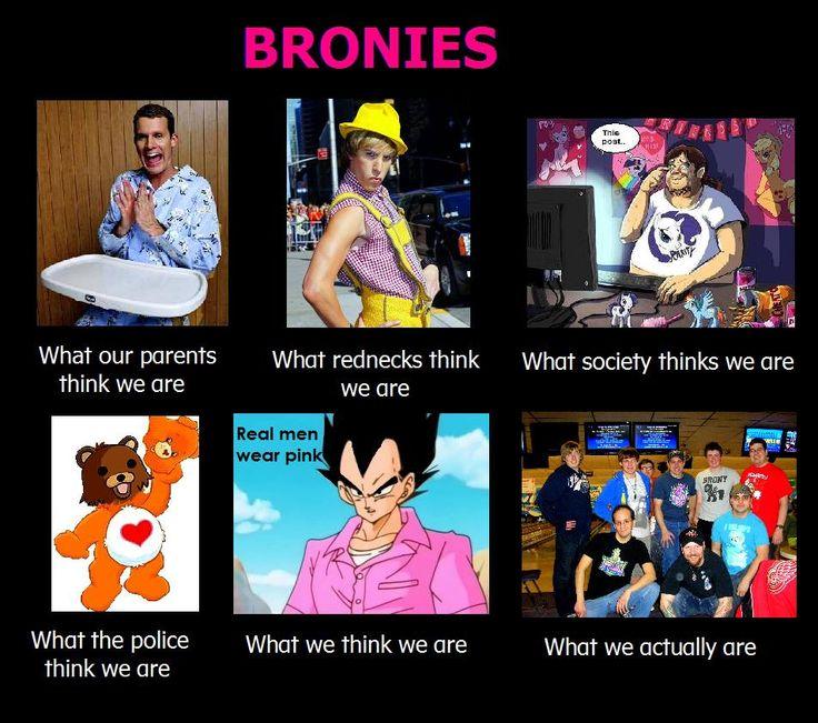 [Image - 803366] | Bronies | Know Your Meme
