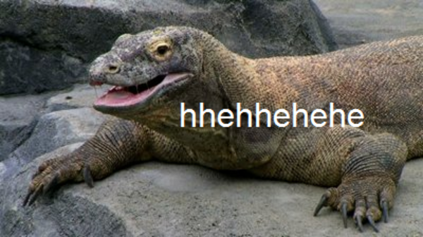 [Image - 804851] | Laughing Lizard / hhhehehe | Know Your Meme