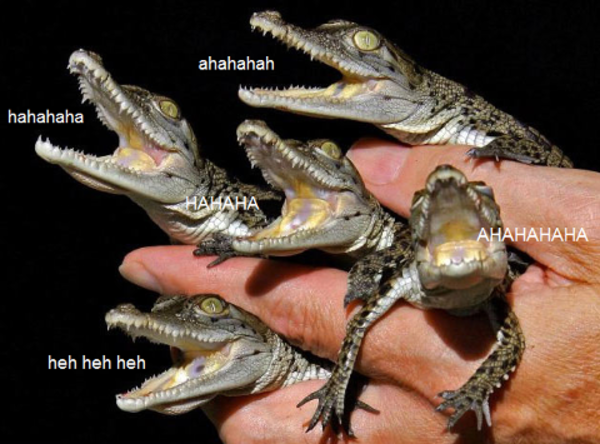 [Image - 804873] | Laughing Lizard / hhhehehe | Know Your Meme