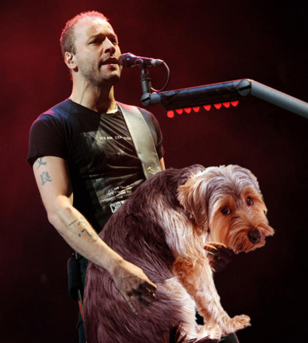 [Image - 805574] | Bass Dogs | Know Your Meme