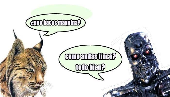 [Image - 806014] | Taringa | Know Your Meme