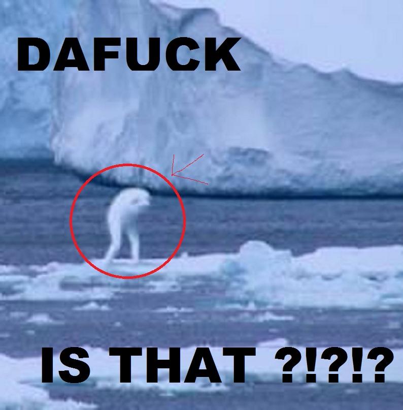 [Image - 809742] | Cryptid | Know Your Meme