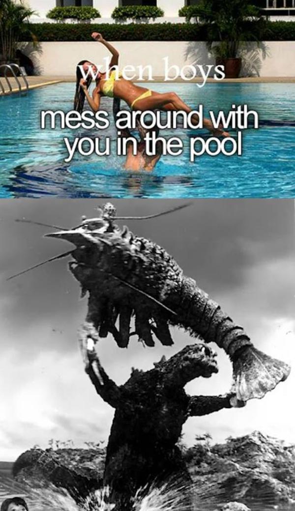 [Image - 811292] | Just Little Things | Know Your Meme